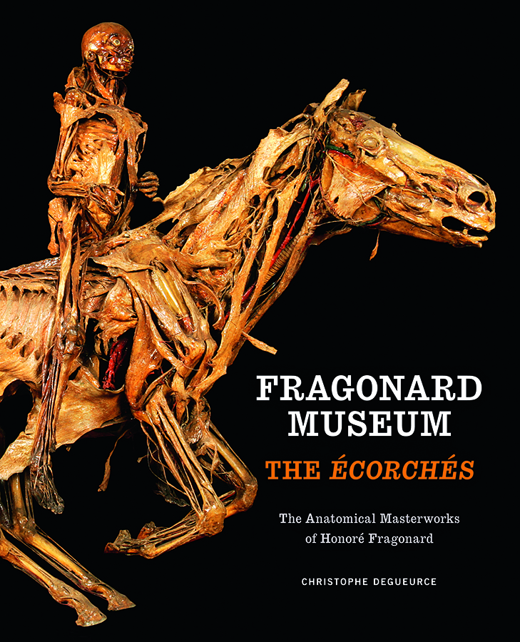 Fragonard Museum: The Écorchés - Blast Books